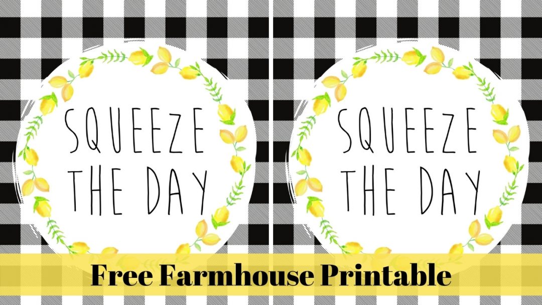 Get a Free Farmhouse Lemon Printable for DIY Decor