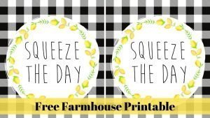 Get a Free Farmhouse Lemon Printable for DIY Decor