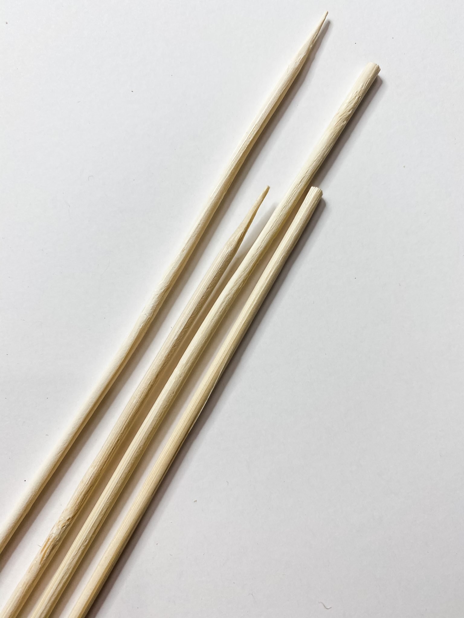 How to Make an Easy DIY Dollar Tree Splatter Screen Reindeer