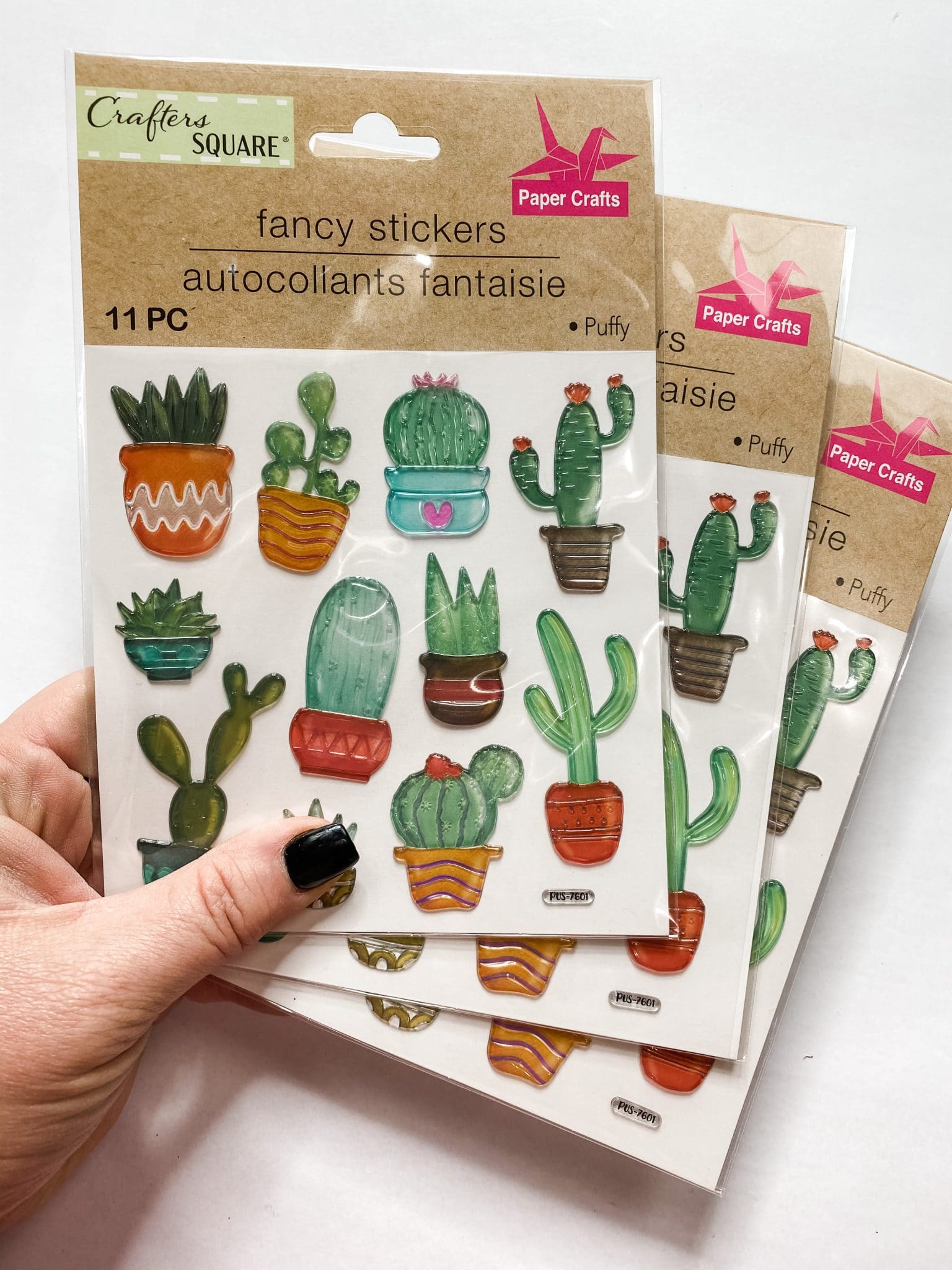 DIY Rustic Decor with Dollar Tree Cactus Succulent Stickers