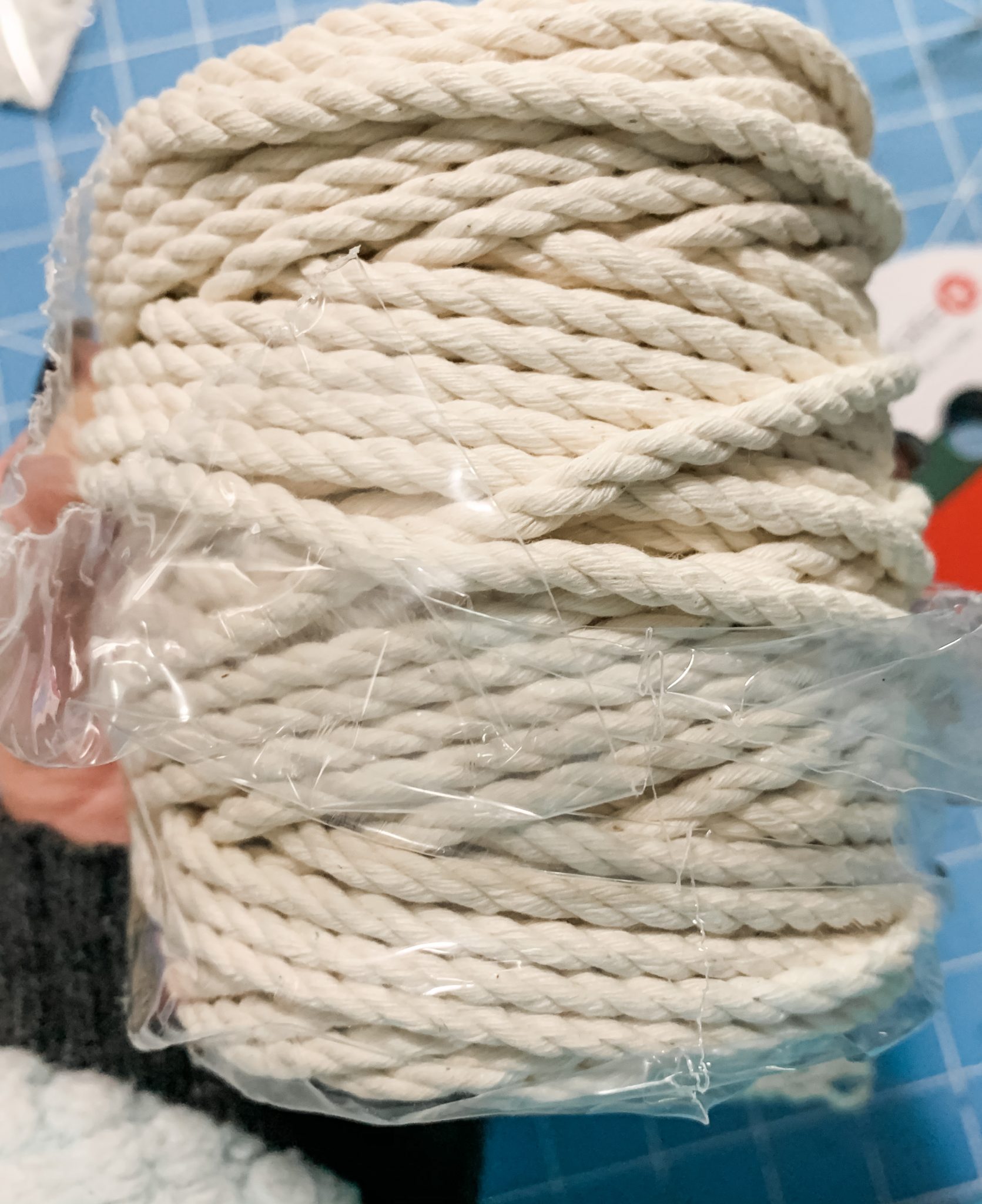 Dollar Tree Trophy DIY Farmhouse Decor - DIY Decor Tutorial